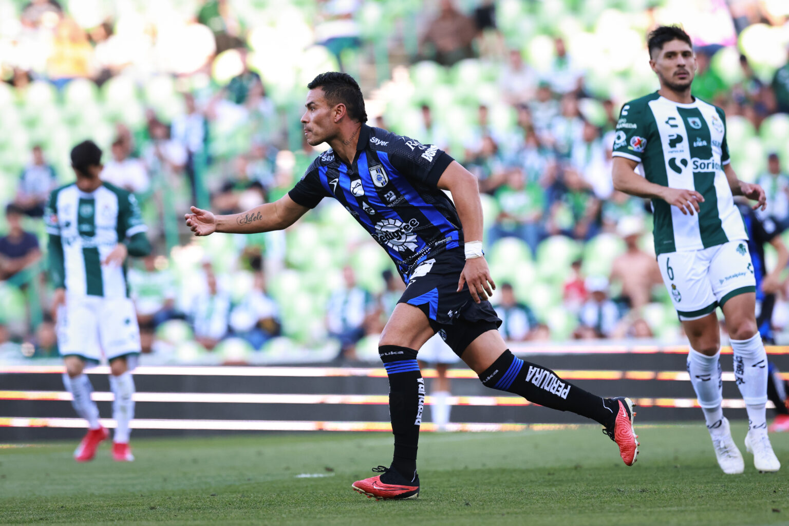 QUERÉTARO F.C. – Gallos Blancos